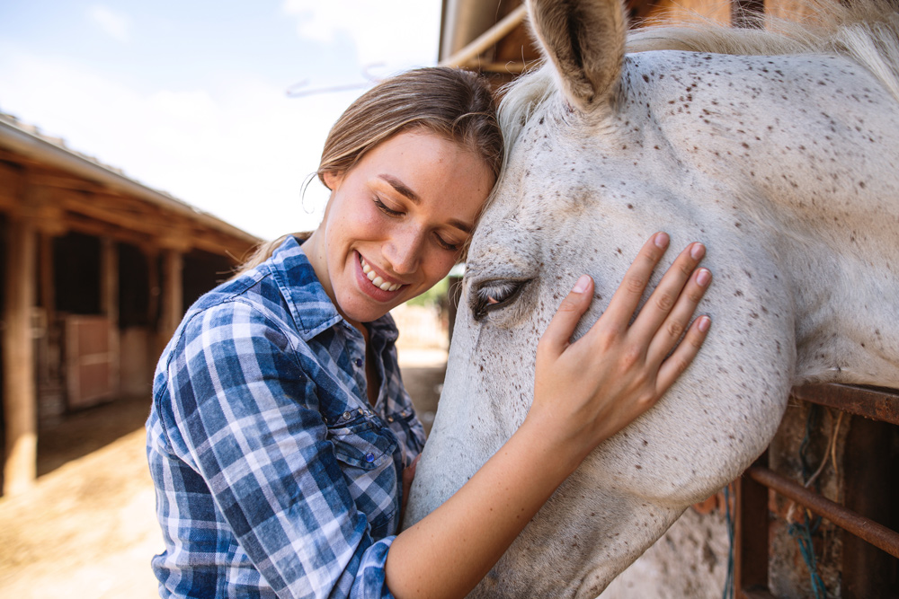 Researchers Develop a Human-Equine Attachment Scale - My Senior Horse